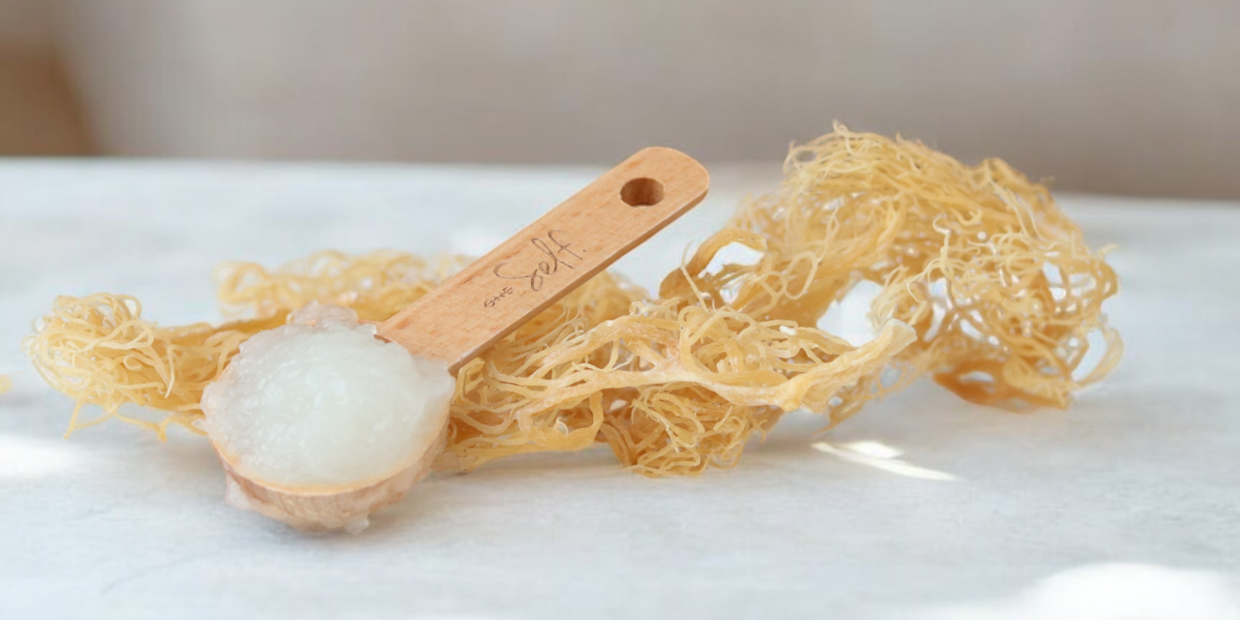 Heal your body naturally with Sea moss – oneselfwellbeing